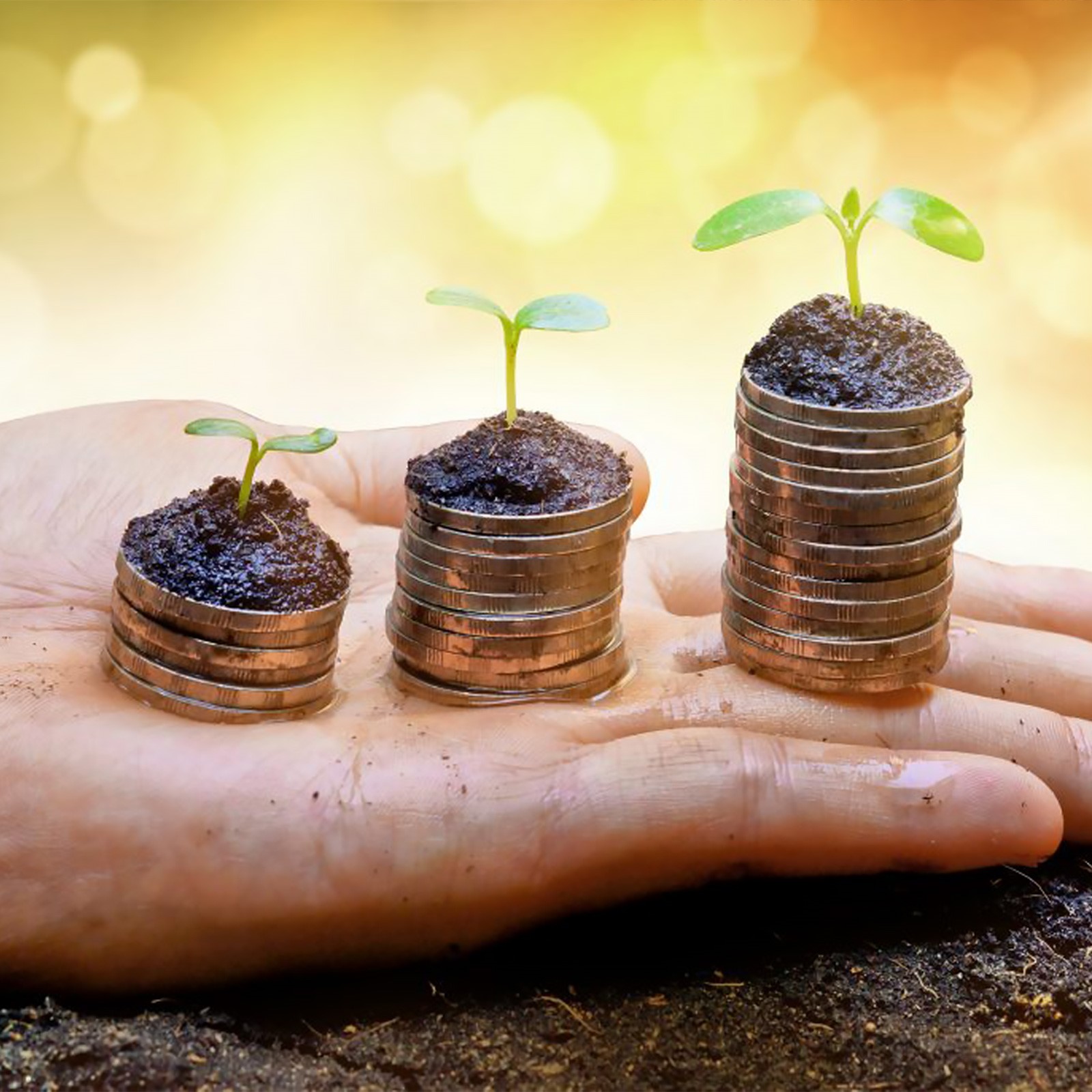 Renewed interest in multi-asset funds - Shepherd Independent Financial ... Renewed interest in multi-asset funds - Shepherd Independent Financial ...